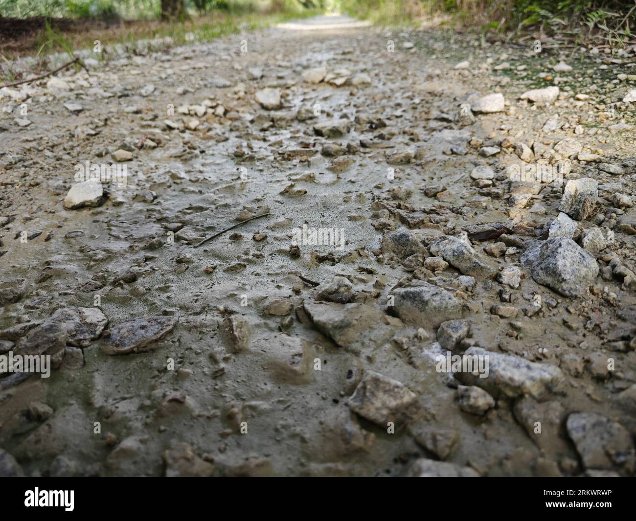 dried up puddle left with stones along the pathway Stock Photo - Alamy