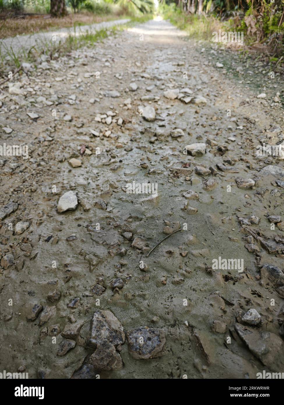 dried up puddle left with stones along the pathway Stock Photo - Alamy