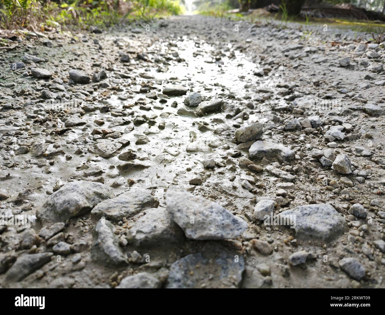 dried up puddle left with stones along the pathway Stock Photo - Alamy