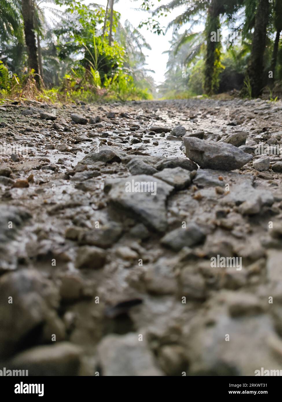 dried up puddle left with stones along the pathway Stock Photo - Alamy