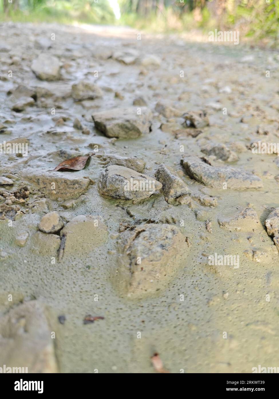 dried up puddle left with stones along the pathway Stock Photo - Alamy