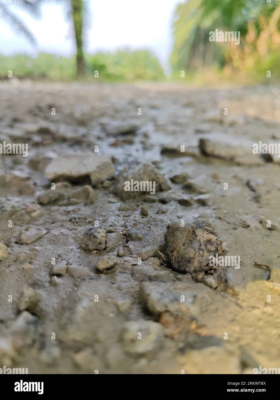 Dried slush hi-res stock photography and images - Alamy