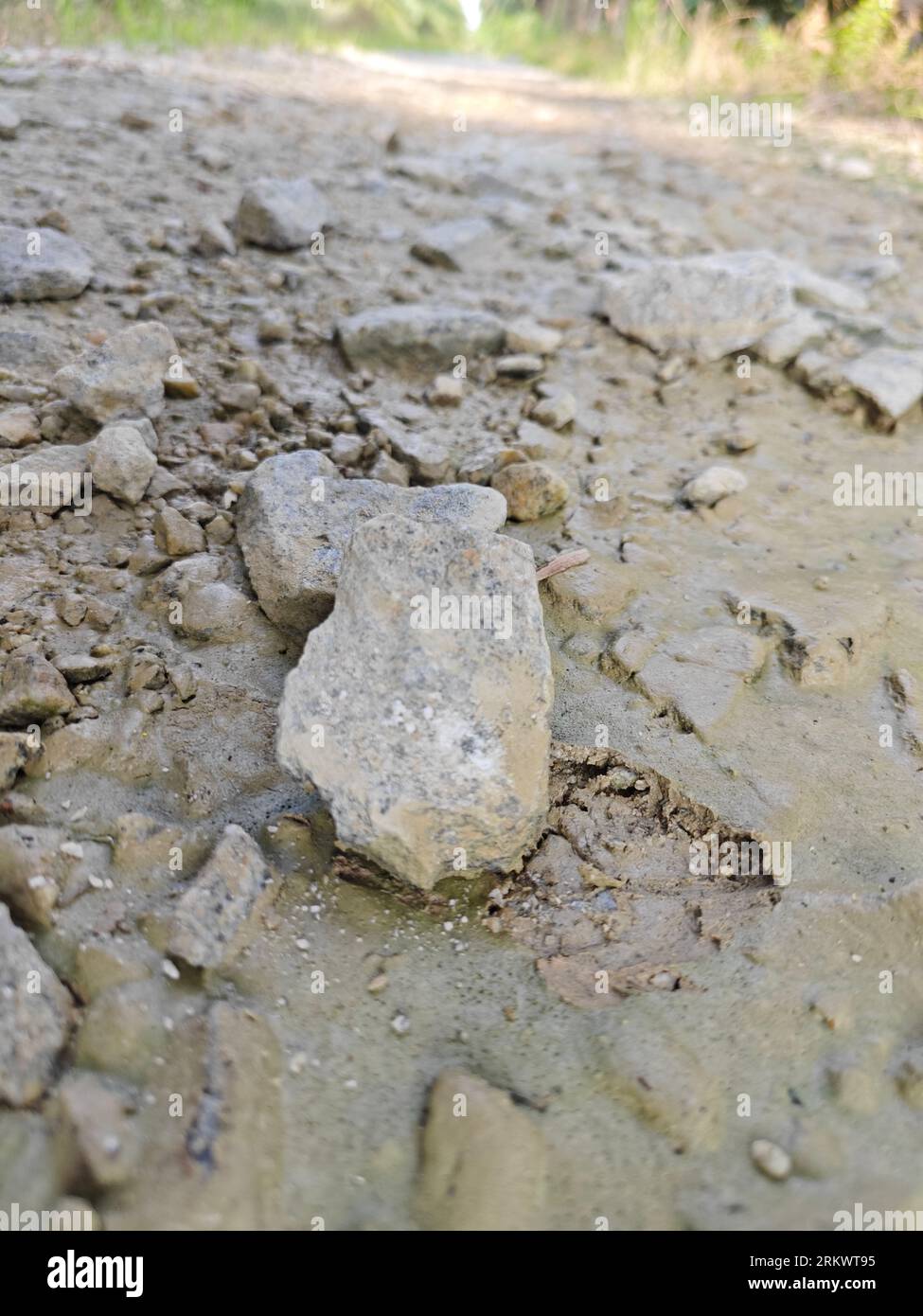 dried up puddle left with stones along the pathway Stock Photo - Alamy