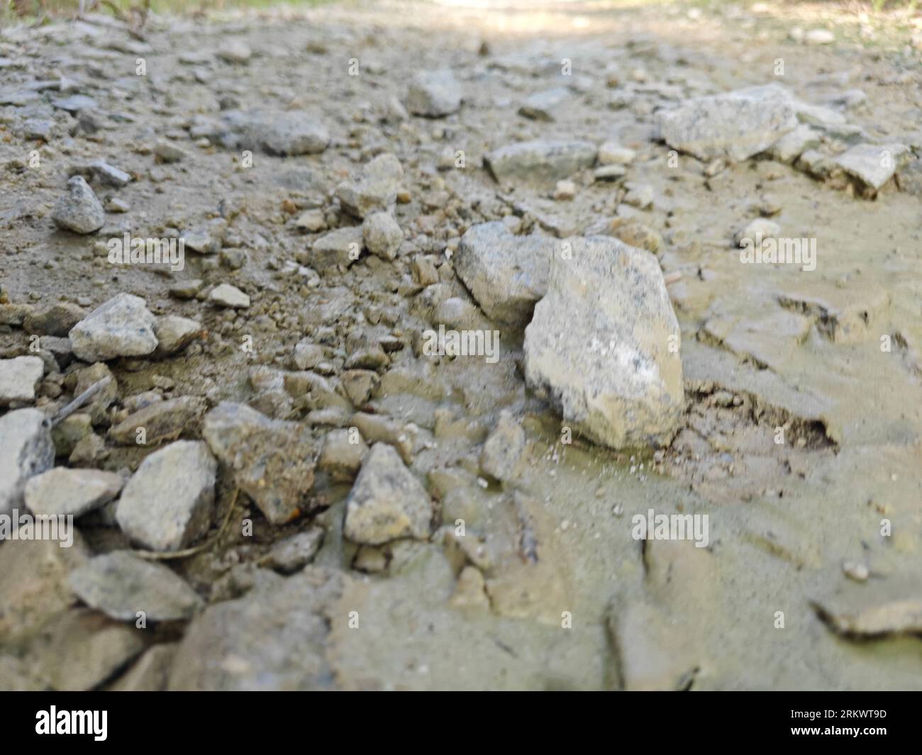dried up puddle left with stones along the pathway Stock Photo - Alamy