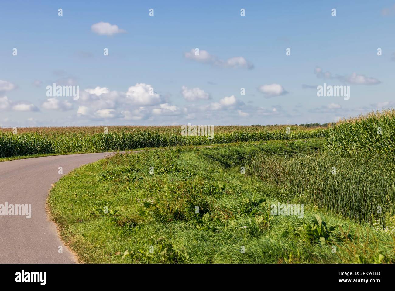 Paved highway in rural areas, part of a simple road in rural areas with ...