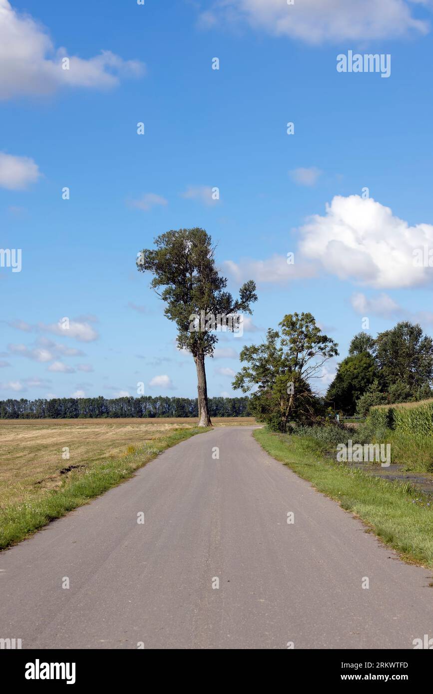 Empty field in rural areas hi-res stock photography and images - Alamy