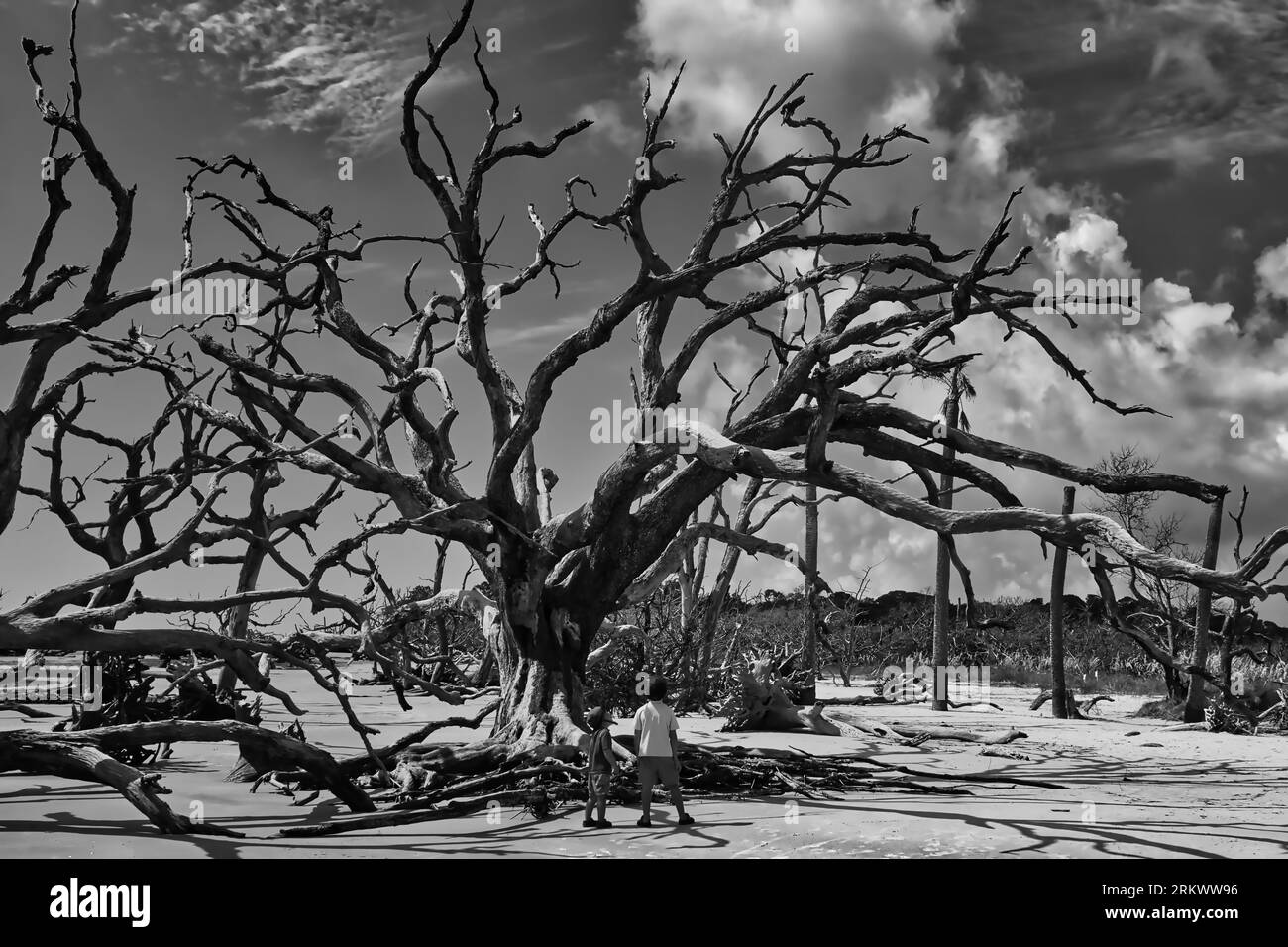 Horizonview Black and White Stock Photos & Images - Alamy