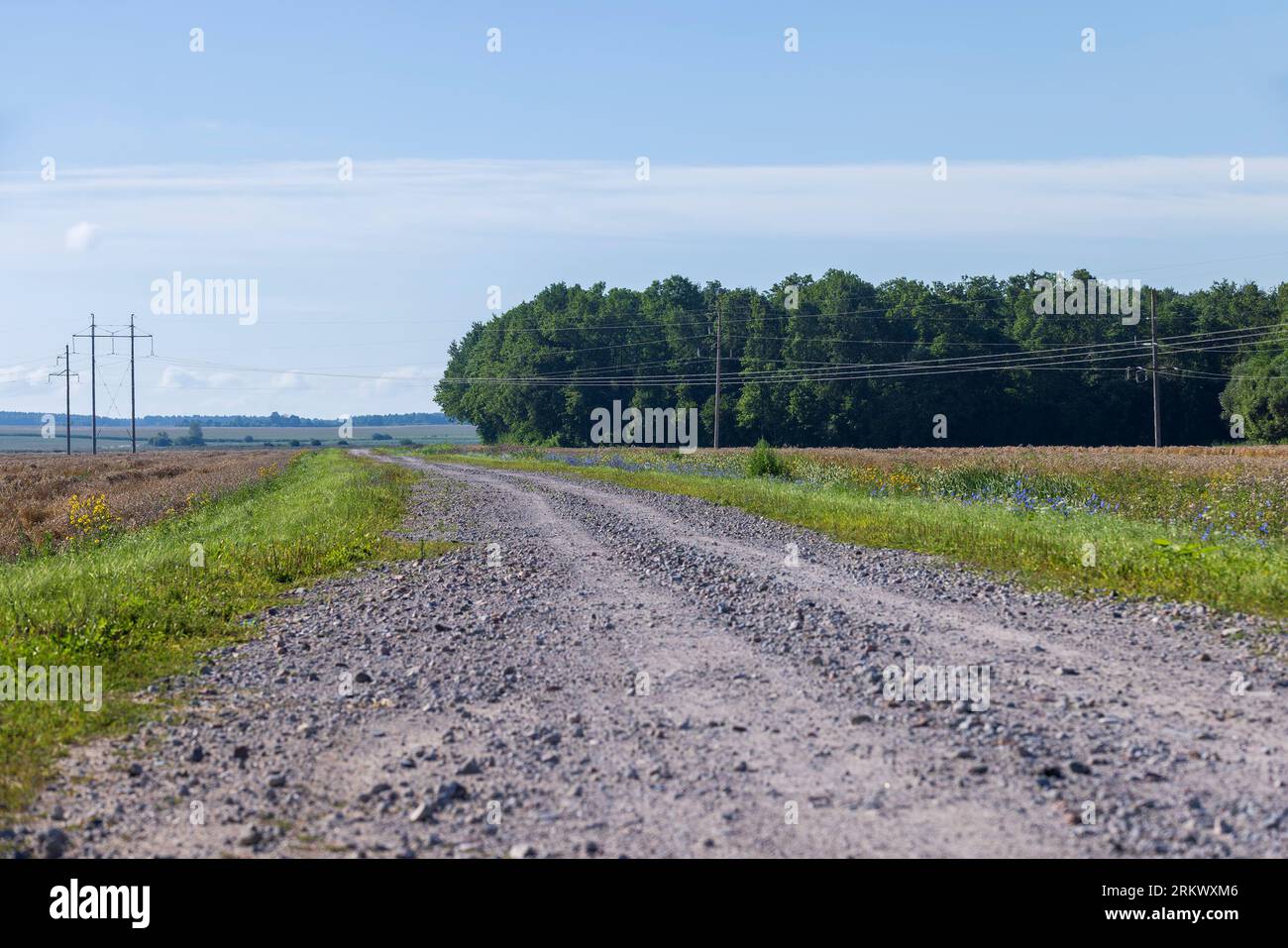 Rural gravel road high quality hi-res stock photography and images - Alamy