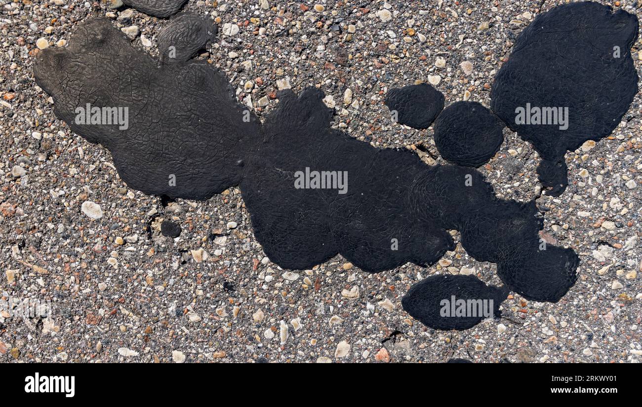 Paved highway in rural areas, part of a simple road in rural areas with ...