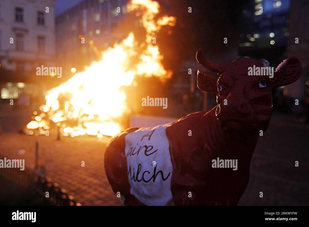 Luxembourg milk cow hi-res stock photography and images - Alamy