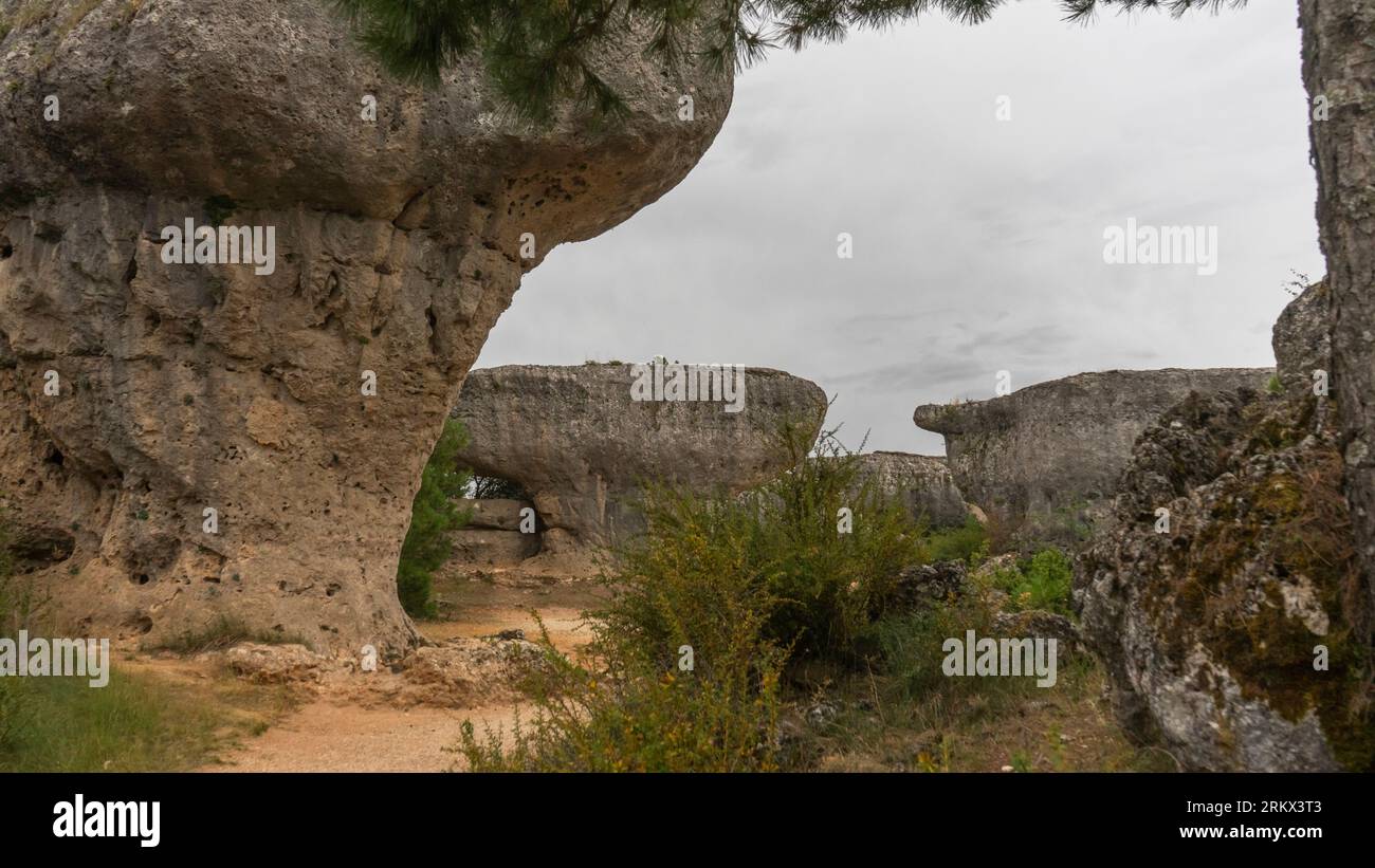 Rocks of large dimensions in the middle of the field. Rocky figures in ...