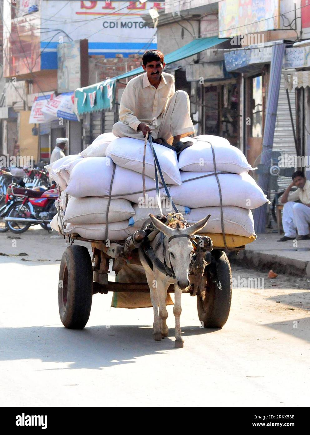 Loaded donkey hi-res stock photography and images - Alamy