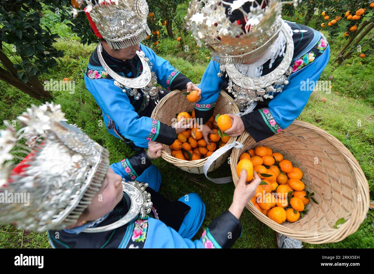 Bai miao hi-res stock photography and images - Alamy