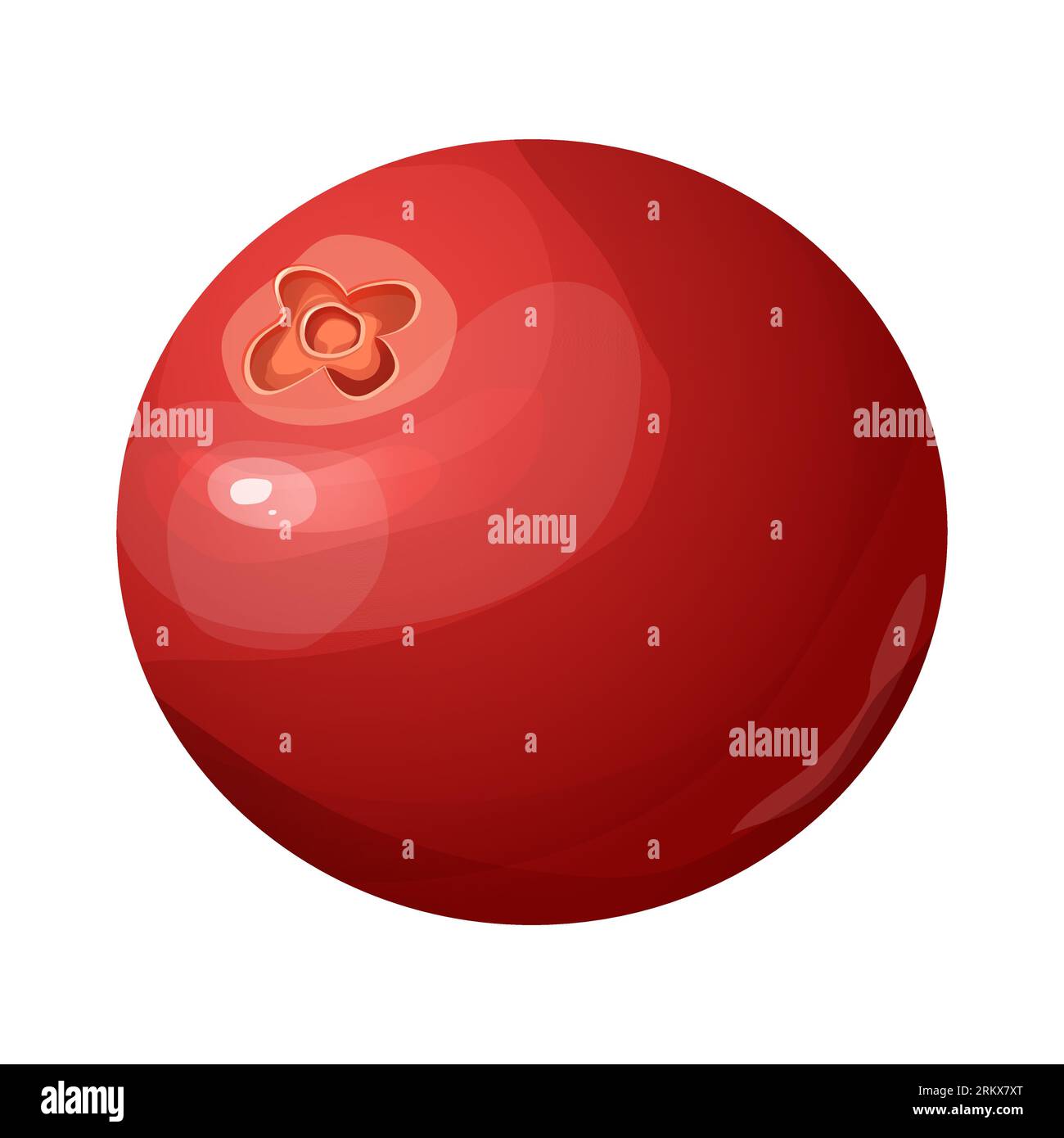 Cranberry red berries in cartoon style isolated on white background ...