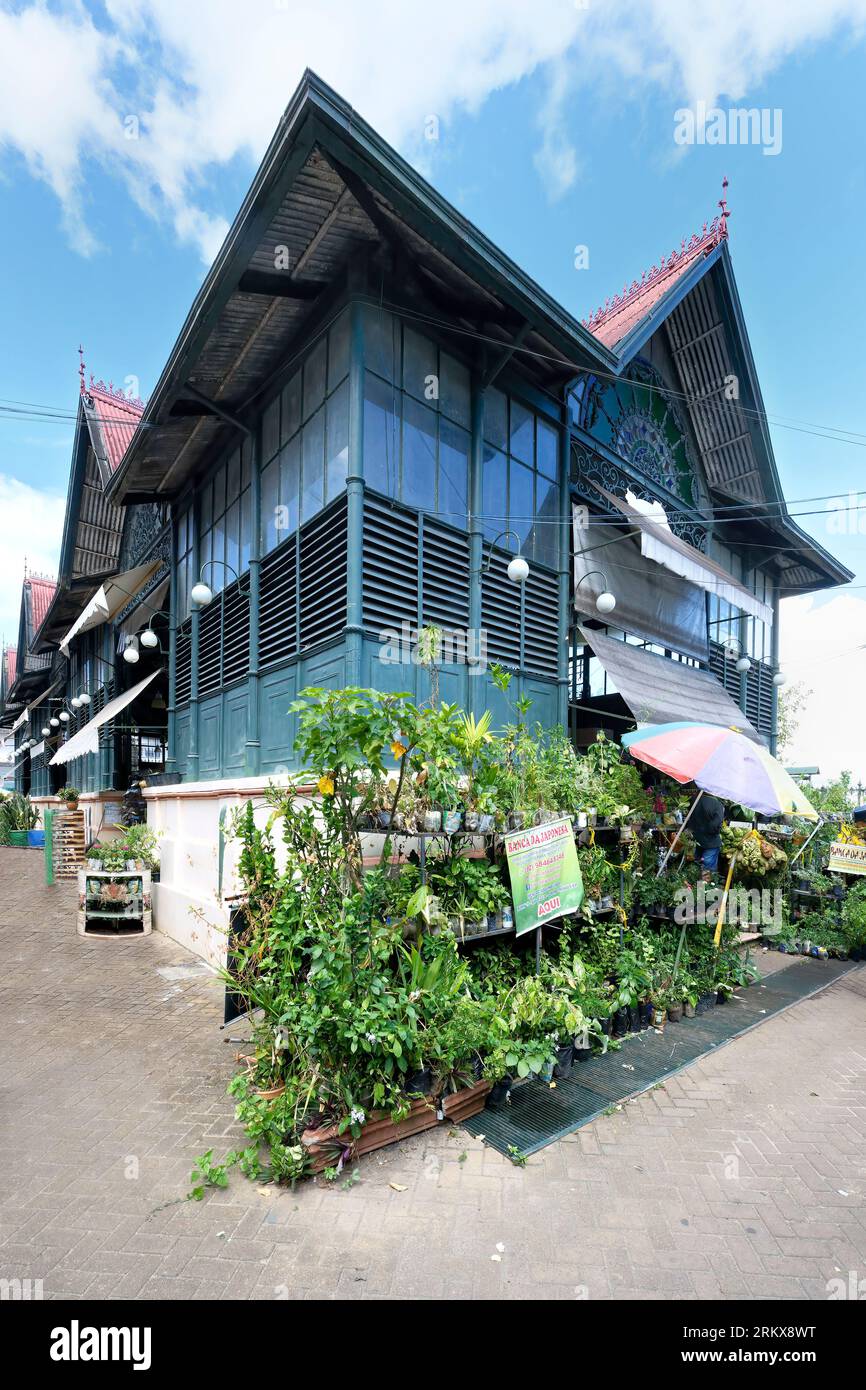 Flower pavilion, Adolpho Lisboa market hall, Manaus, Amazonia State ...
