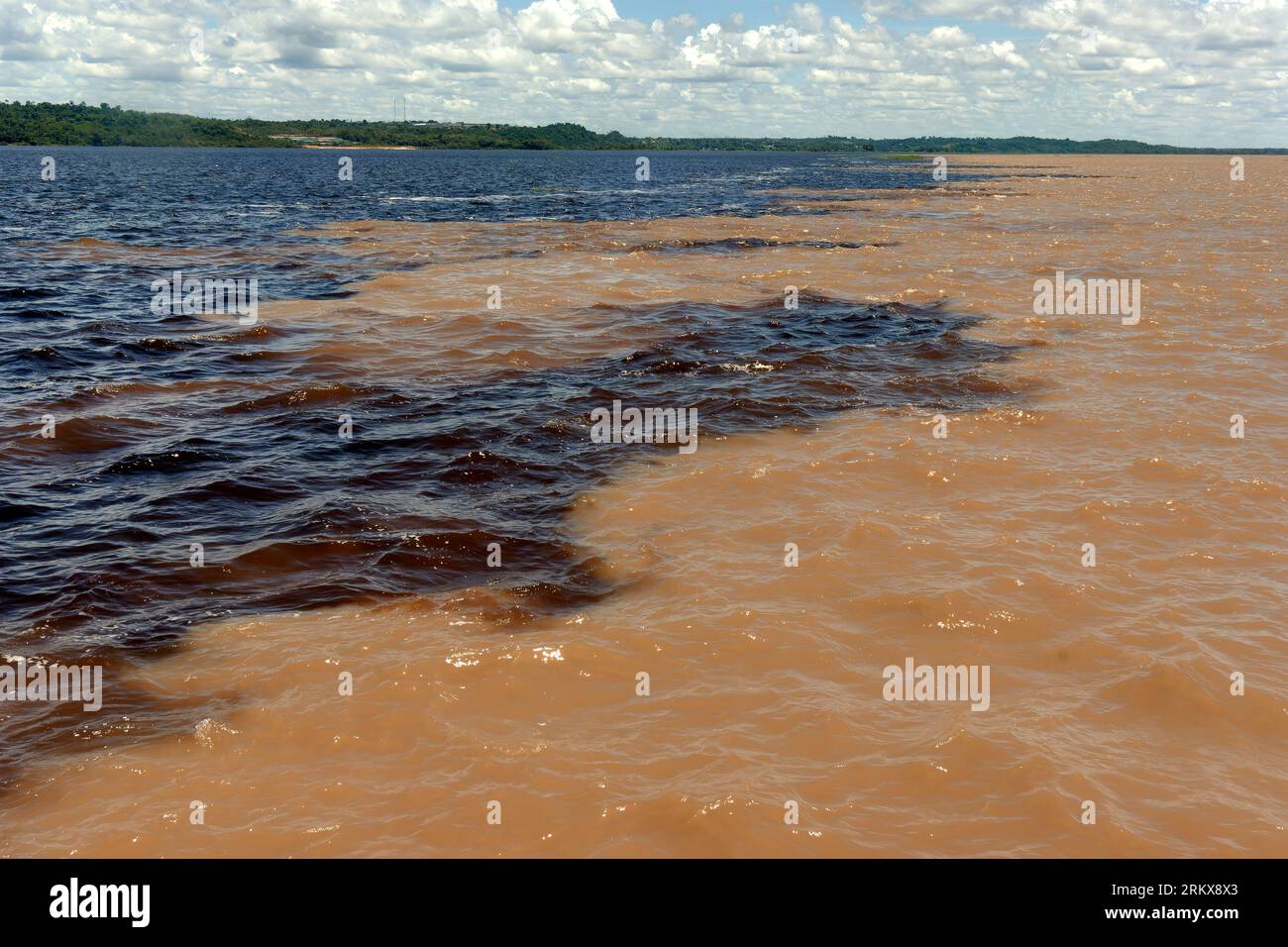 Confluence of the Rio Negro and Solimoes forming the Amazon river ...