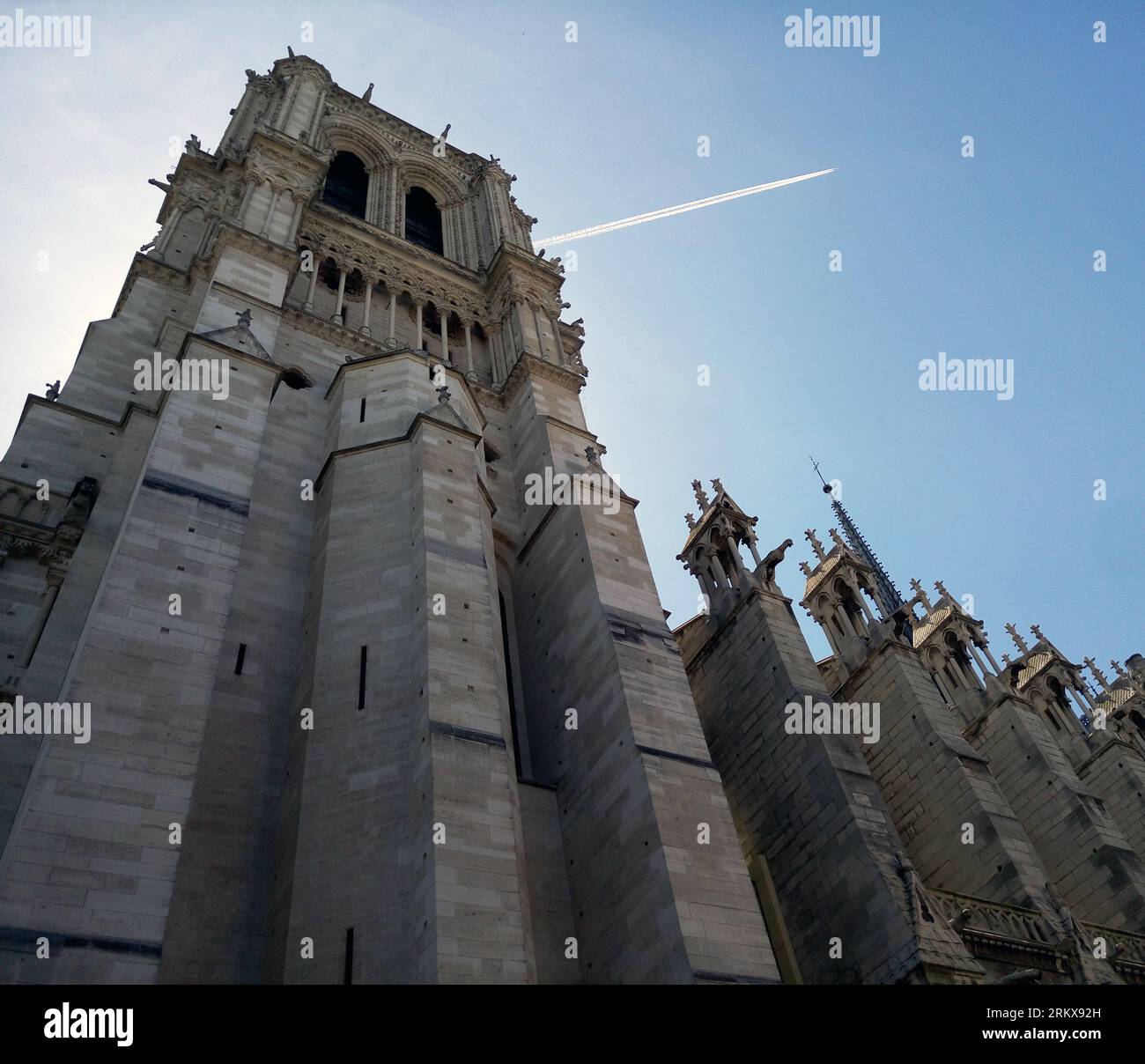 Notre Dame de Paris Cathedral, France, side view Stock Photo - Alamy