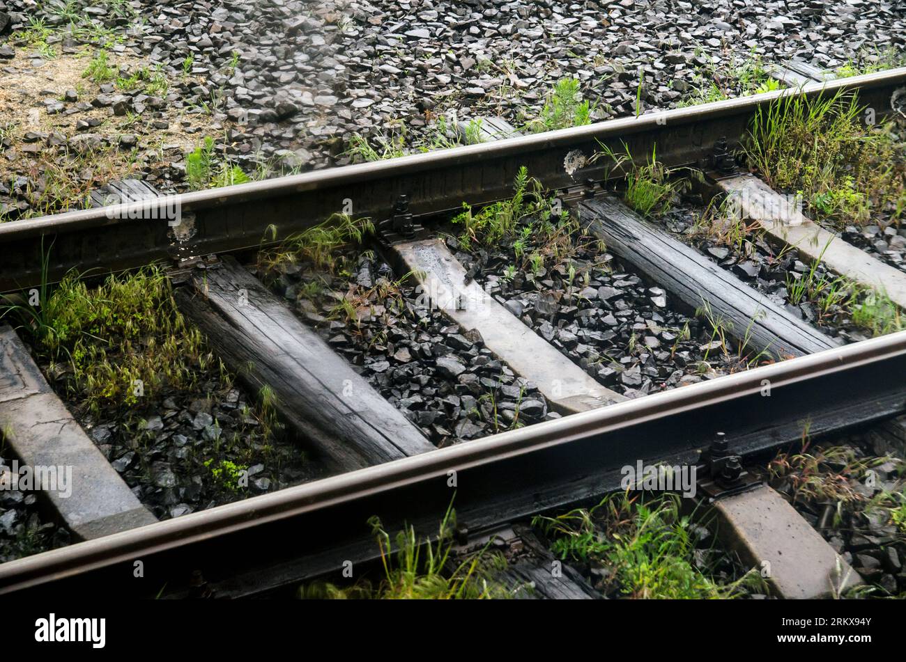 Metal railway track with grass and stones. Traveling conceptual photo ...