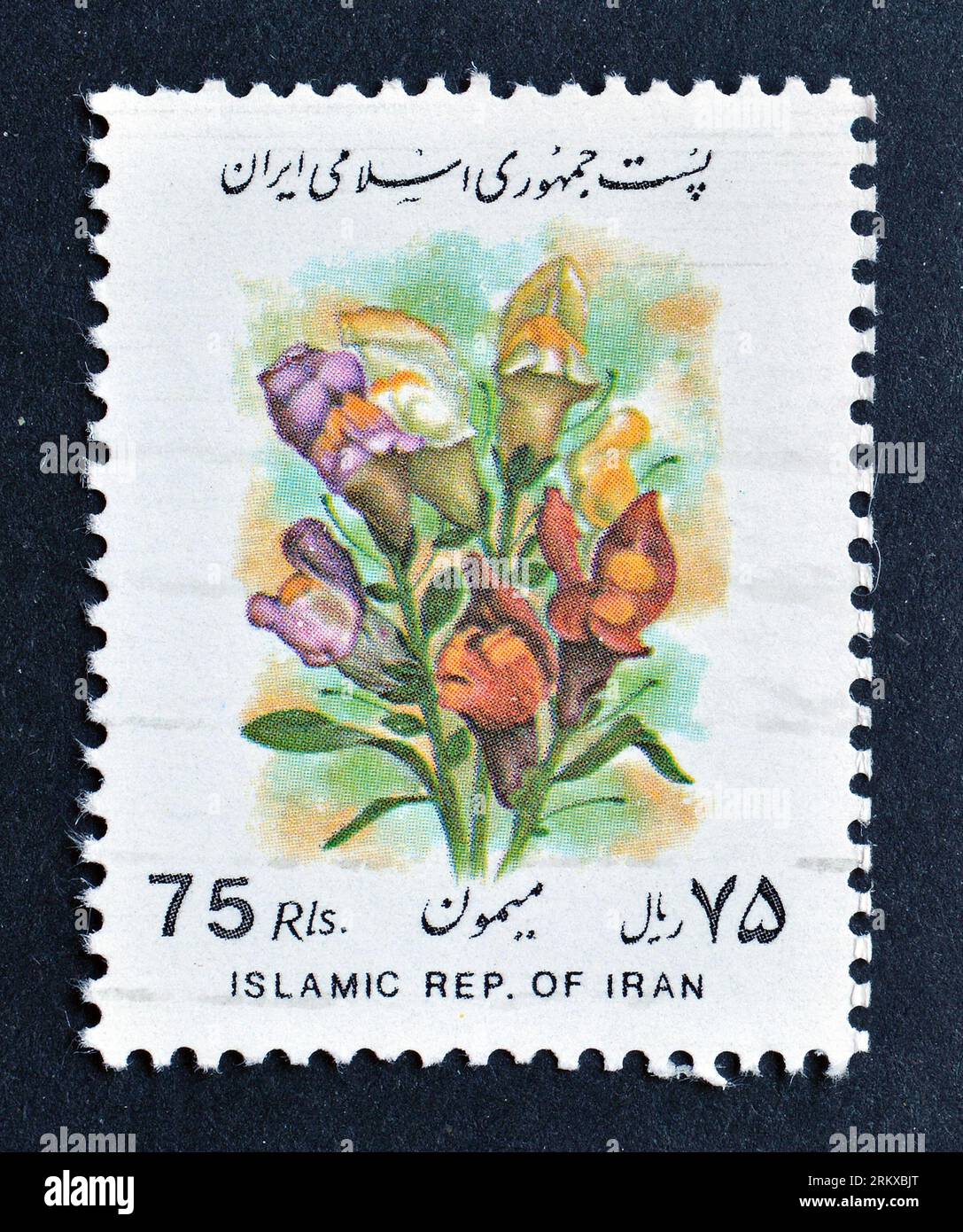 Iran - circa 1995 : Cancelled postage stamp printed by Iran, that shows ...