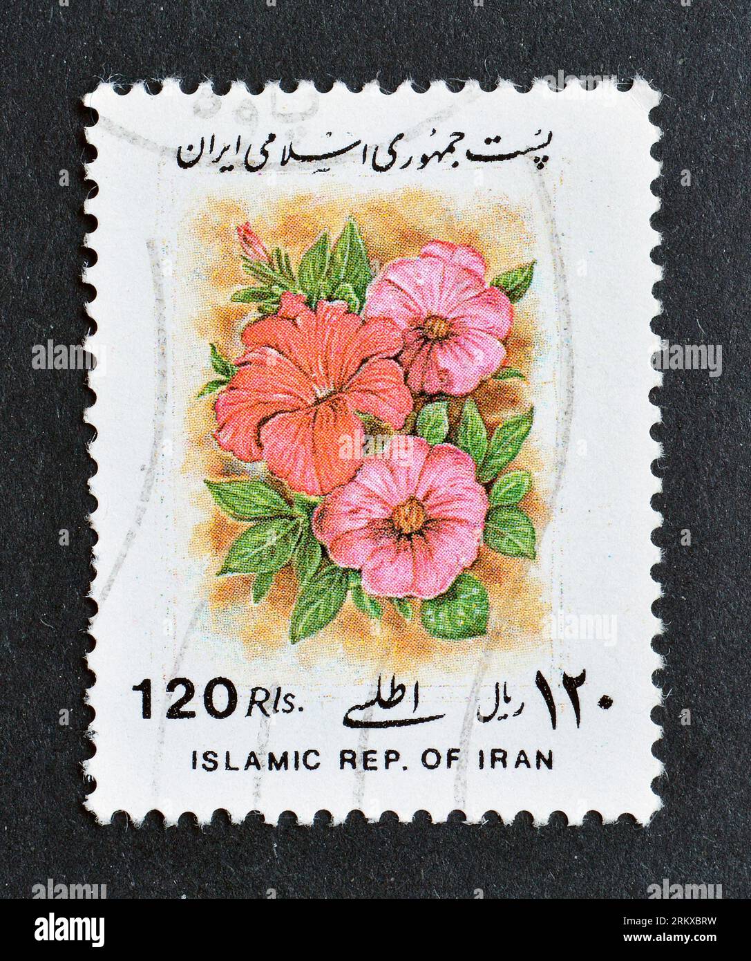 Cancelled postage stamp printed by Iran, that shows Hibiscus, circa ...