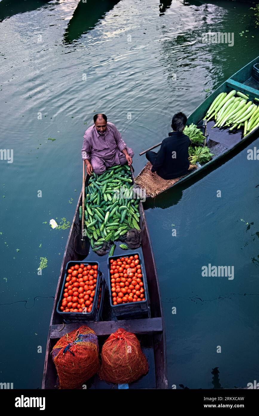 Vegetable float hi-res stock photography and images - Alamy