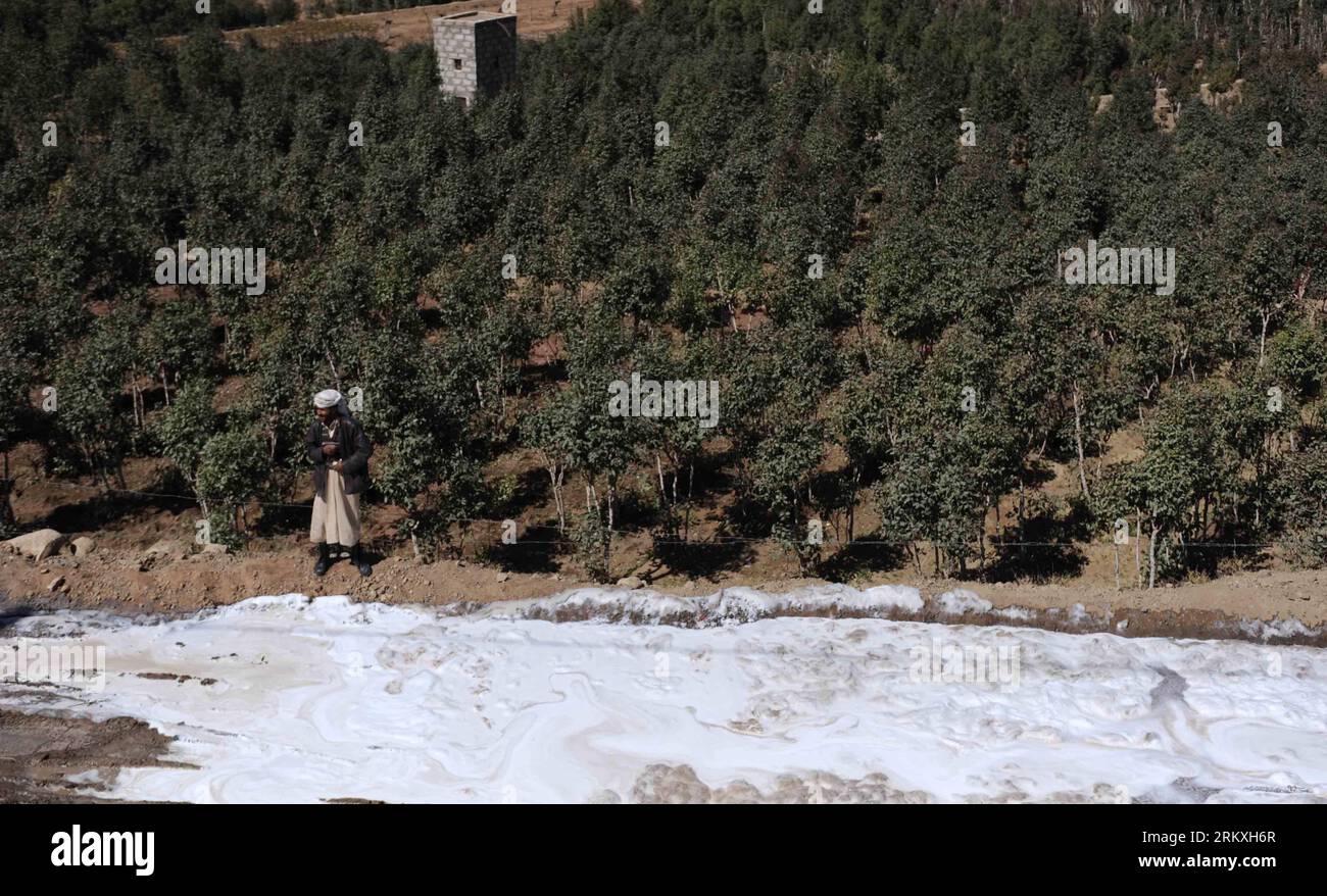 91 leaves hi-res stock photography and images - Alamy