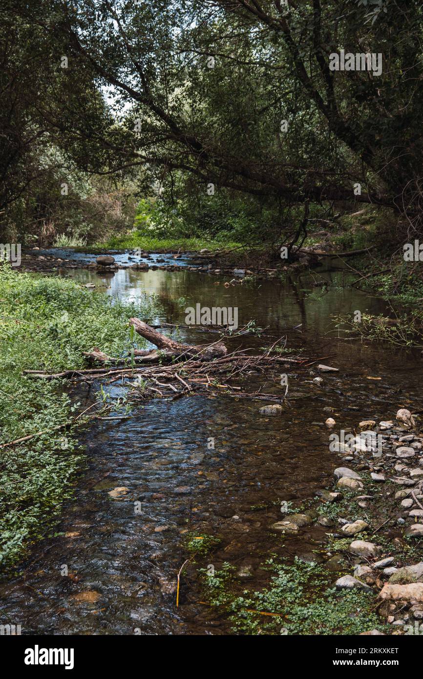 Hailey, idaho hi-res stock photography and images - Alamy