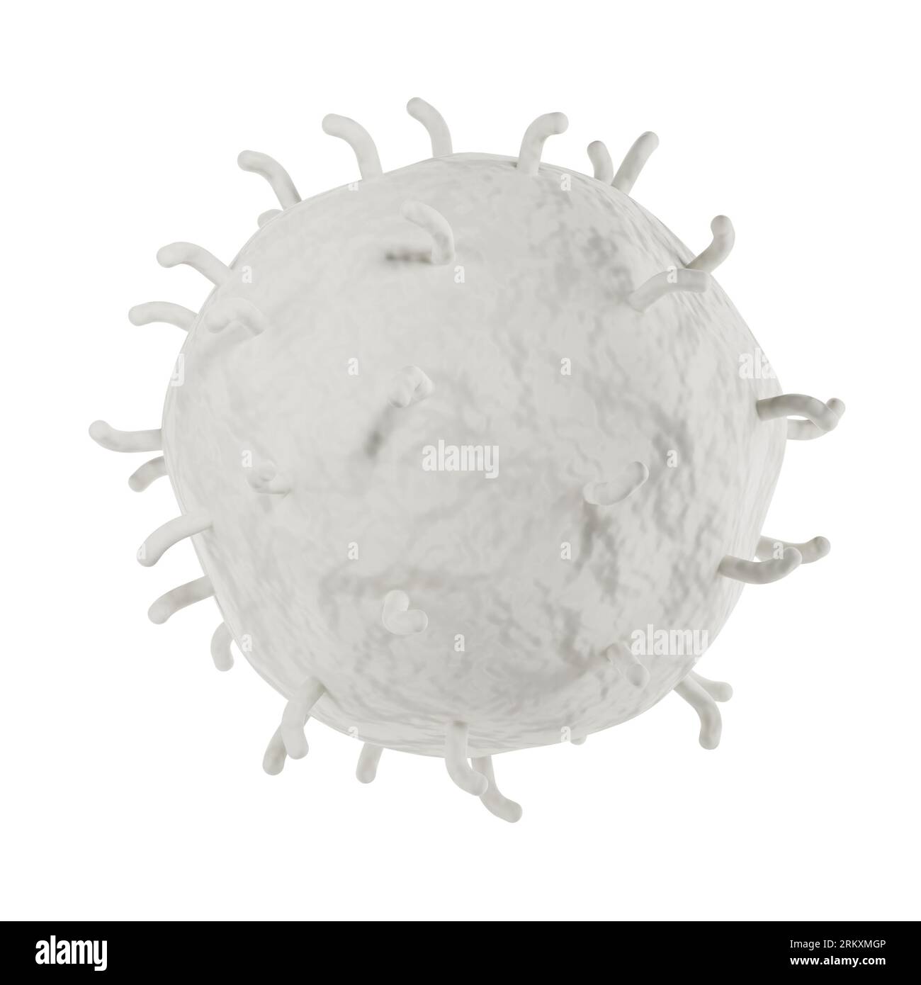 White blood cell 3d realistic icon analysis. Leukocytes medical ...
