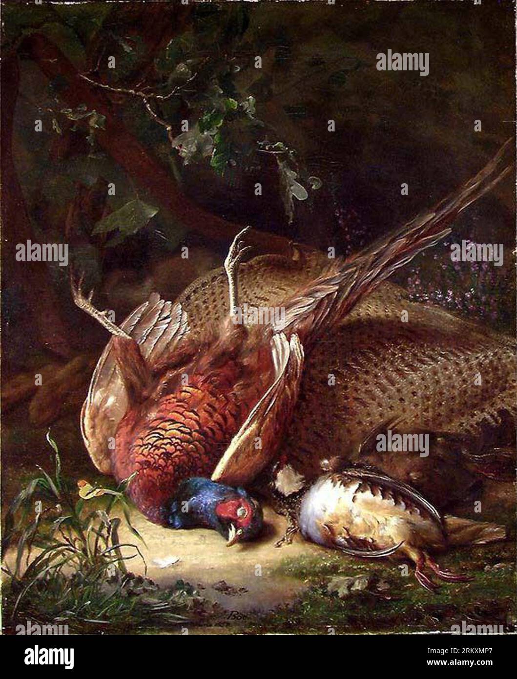 Still Life with dead Birds 1857 by Frants Diderik Bøe Stock Photo - Alamy