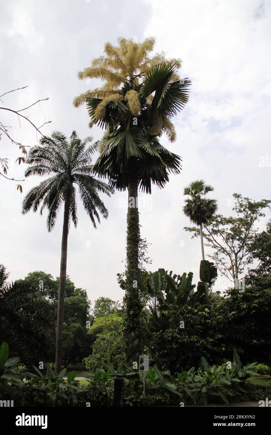 Bildnummer: 59108633 Datum: 20.01.2013 Copyright: imago/Xinhua (130120 ...