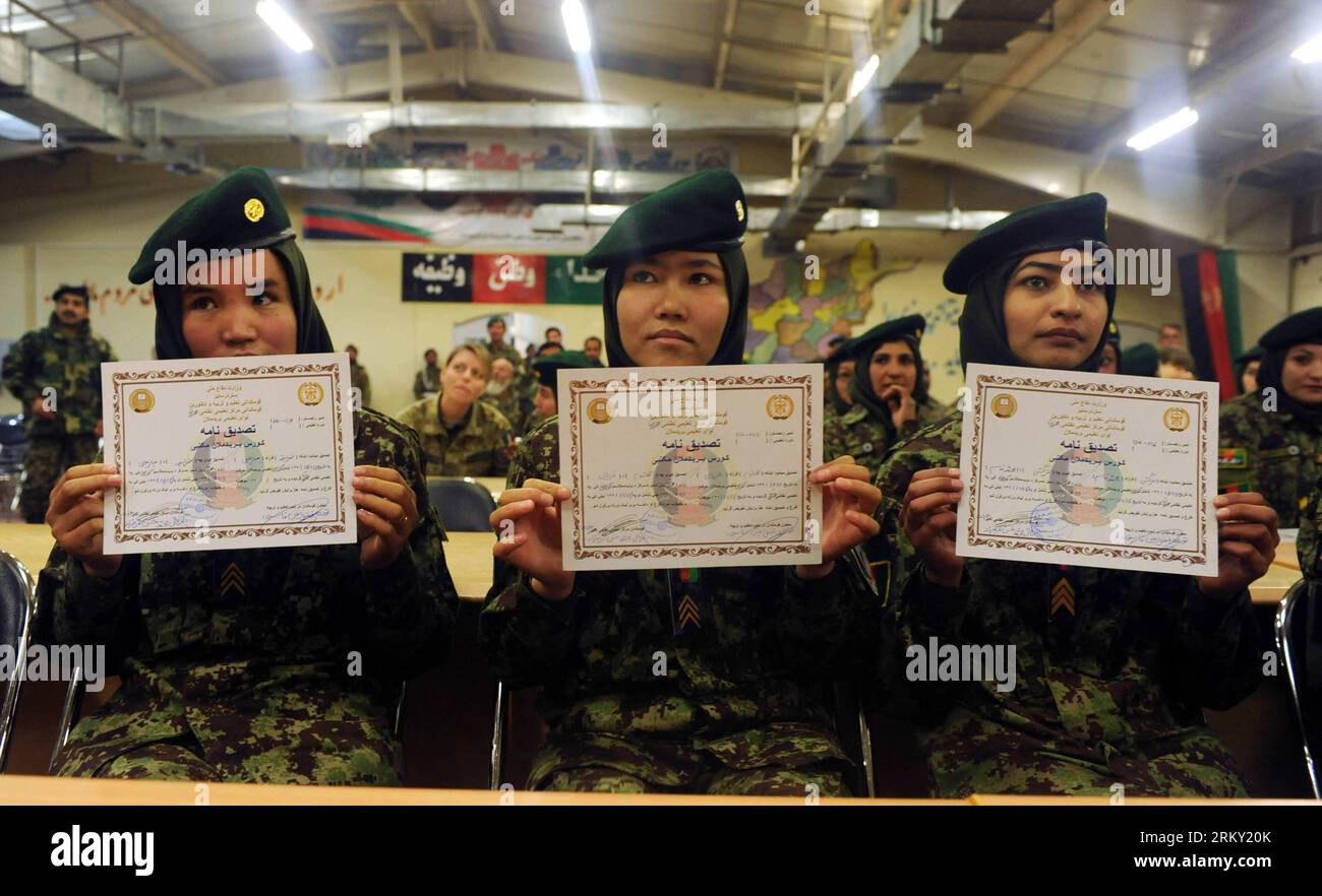 Official certificates hi-res stock photography and images - Alamy