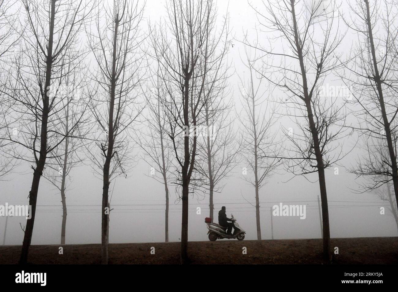 Bildnummer: 59150299 Datum: 30.01.2013 Copyright: imago/Xinhua (130130 ...