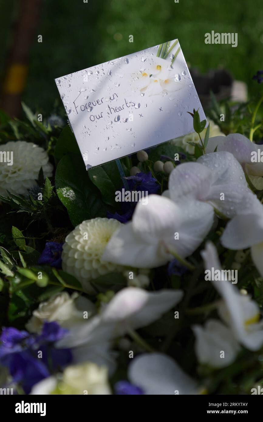 Bramley moore dock 2023 hi-res stock photography and images - Alamy