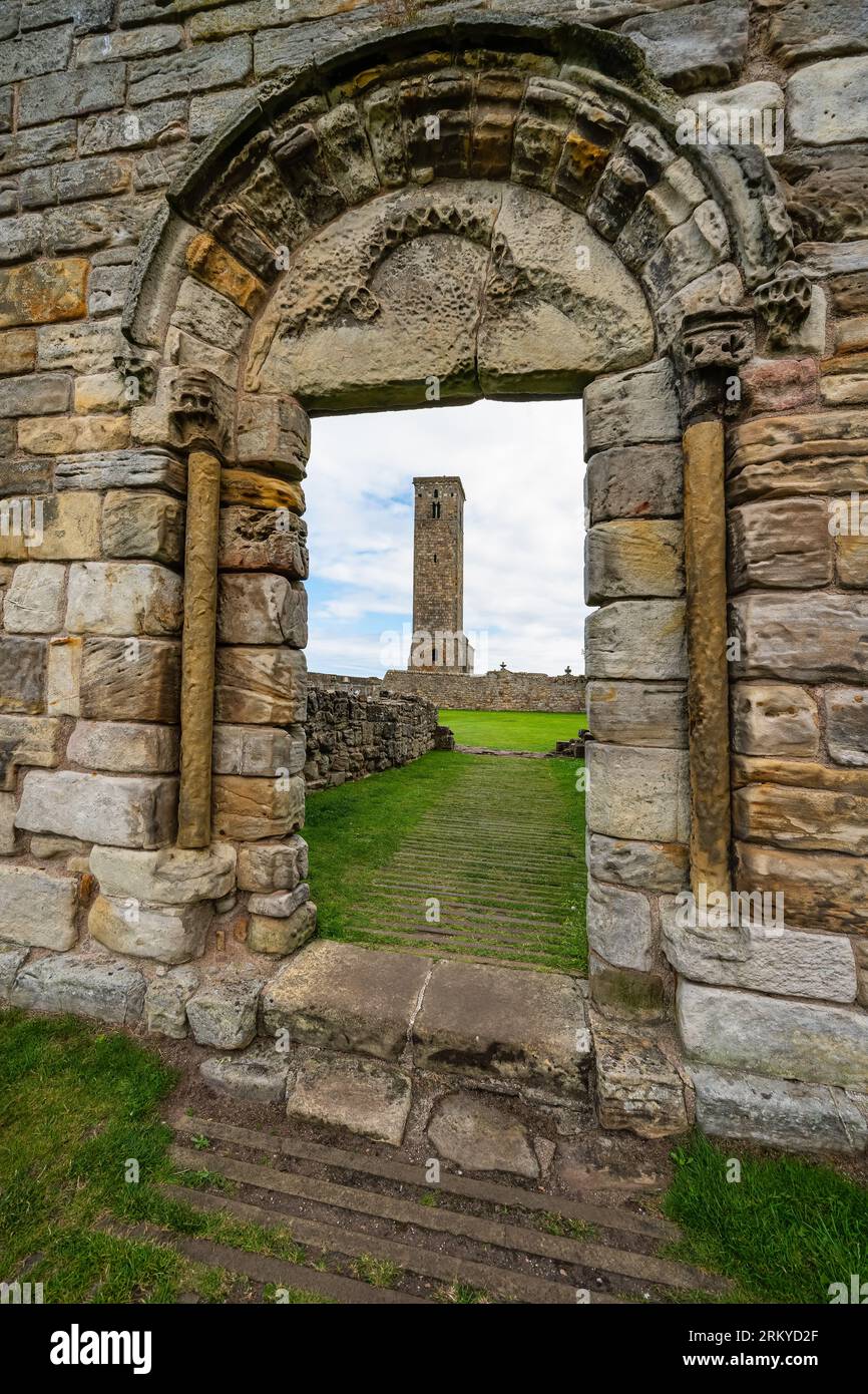 Ruined cathedral tower of Saint Andrews that can be seen through a ...