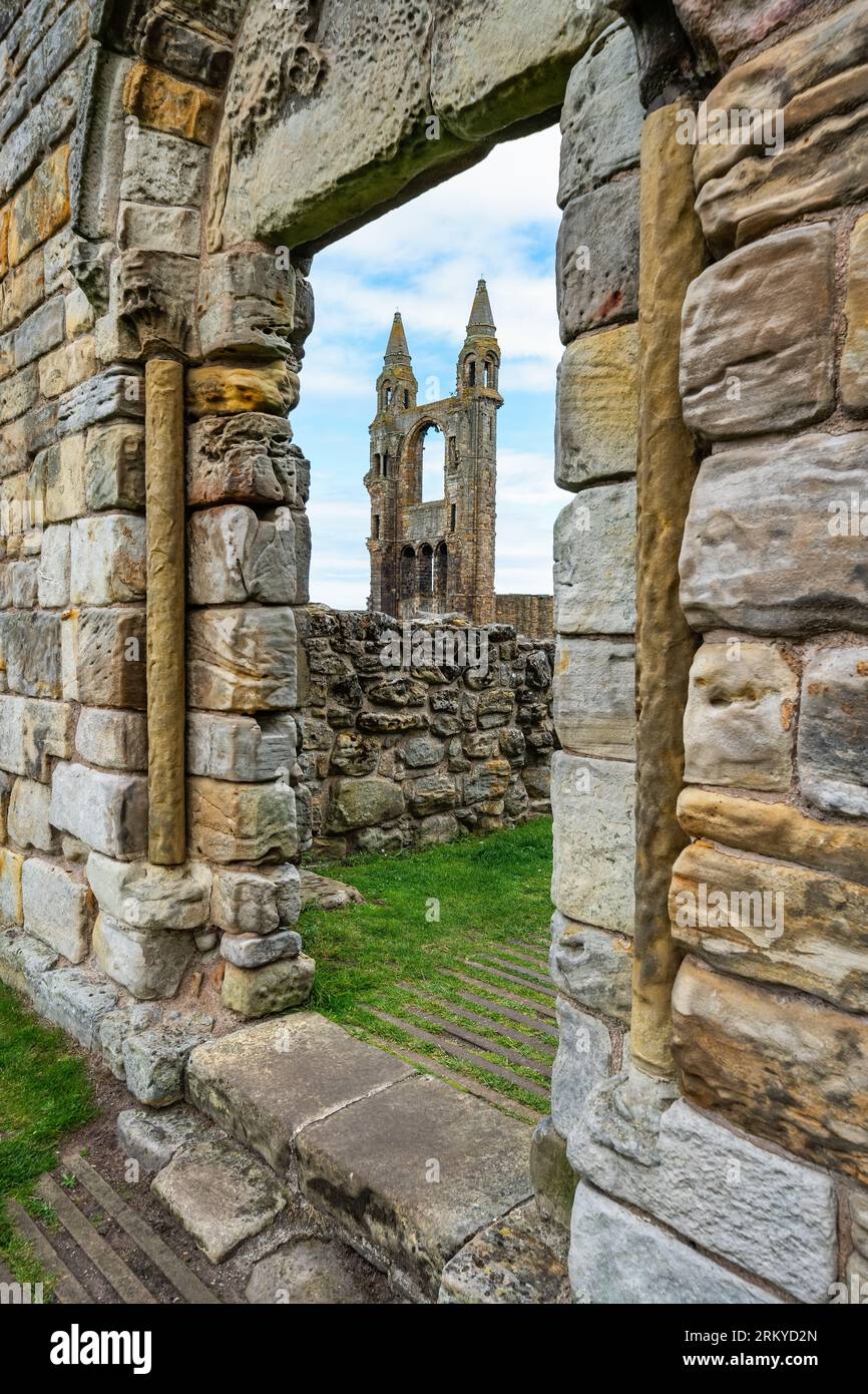 Ruined cathedral tower of Saint Andrews that can be seen through a ...
