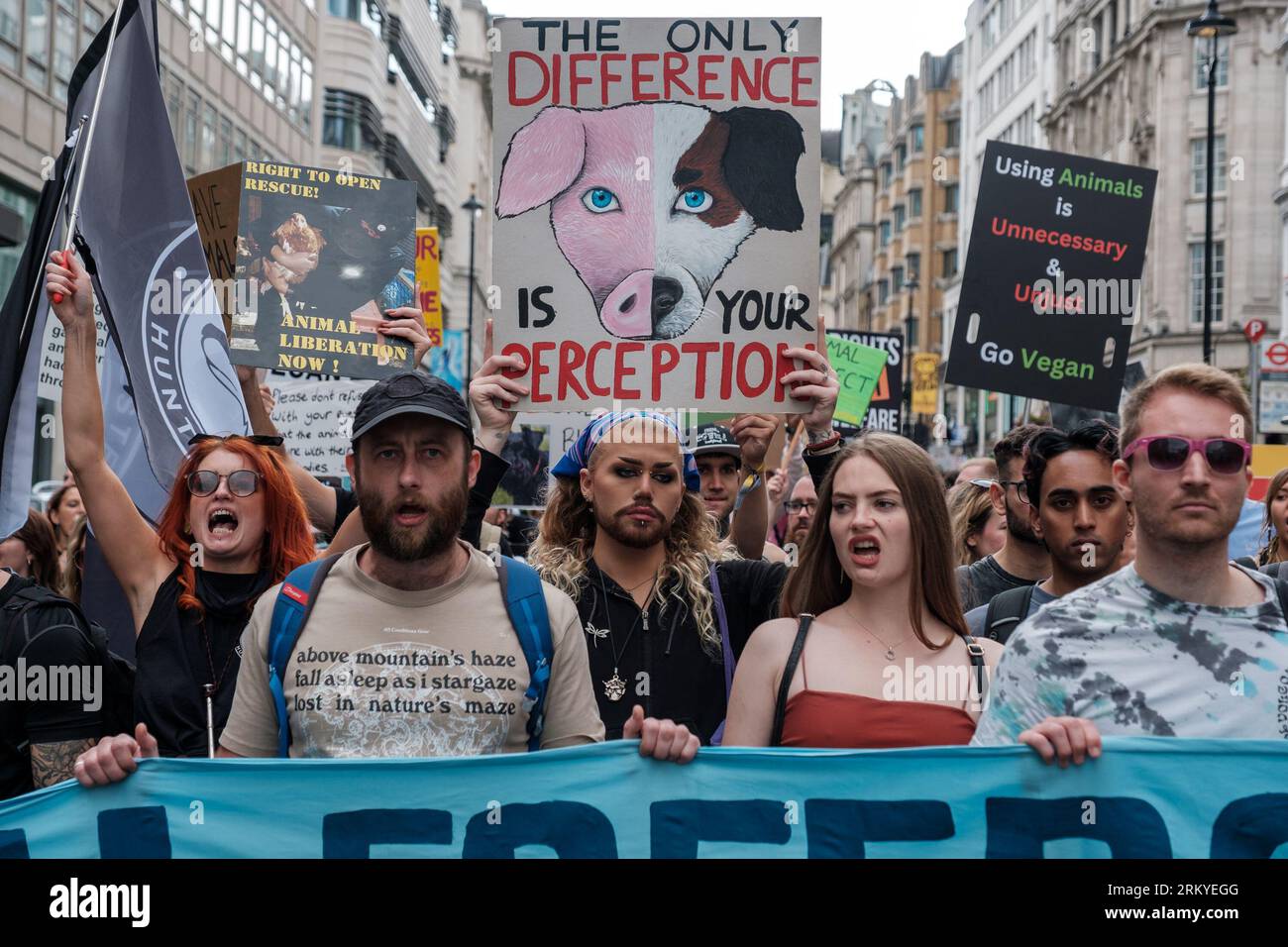 Animal Rising holds the National Animal Rights March through the ...