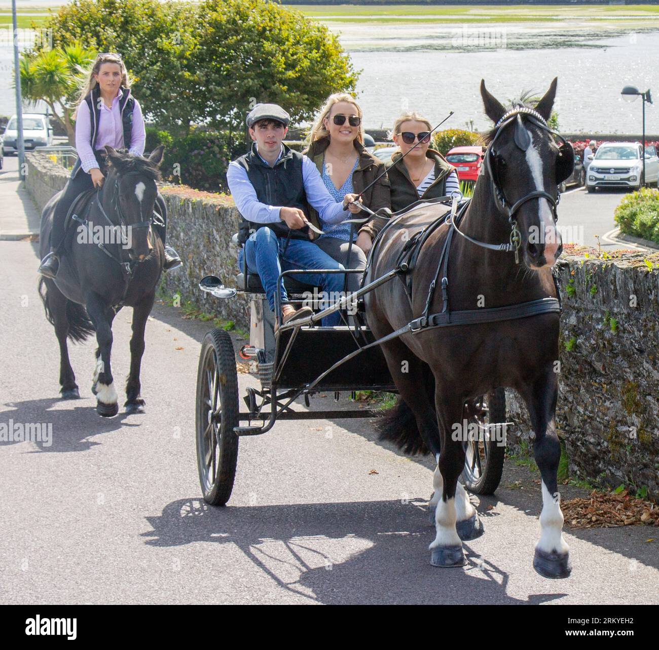 Rosscarbery Horse Fair West Cork Ireland Stock Photo - Alamy