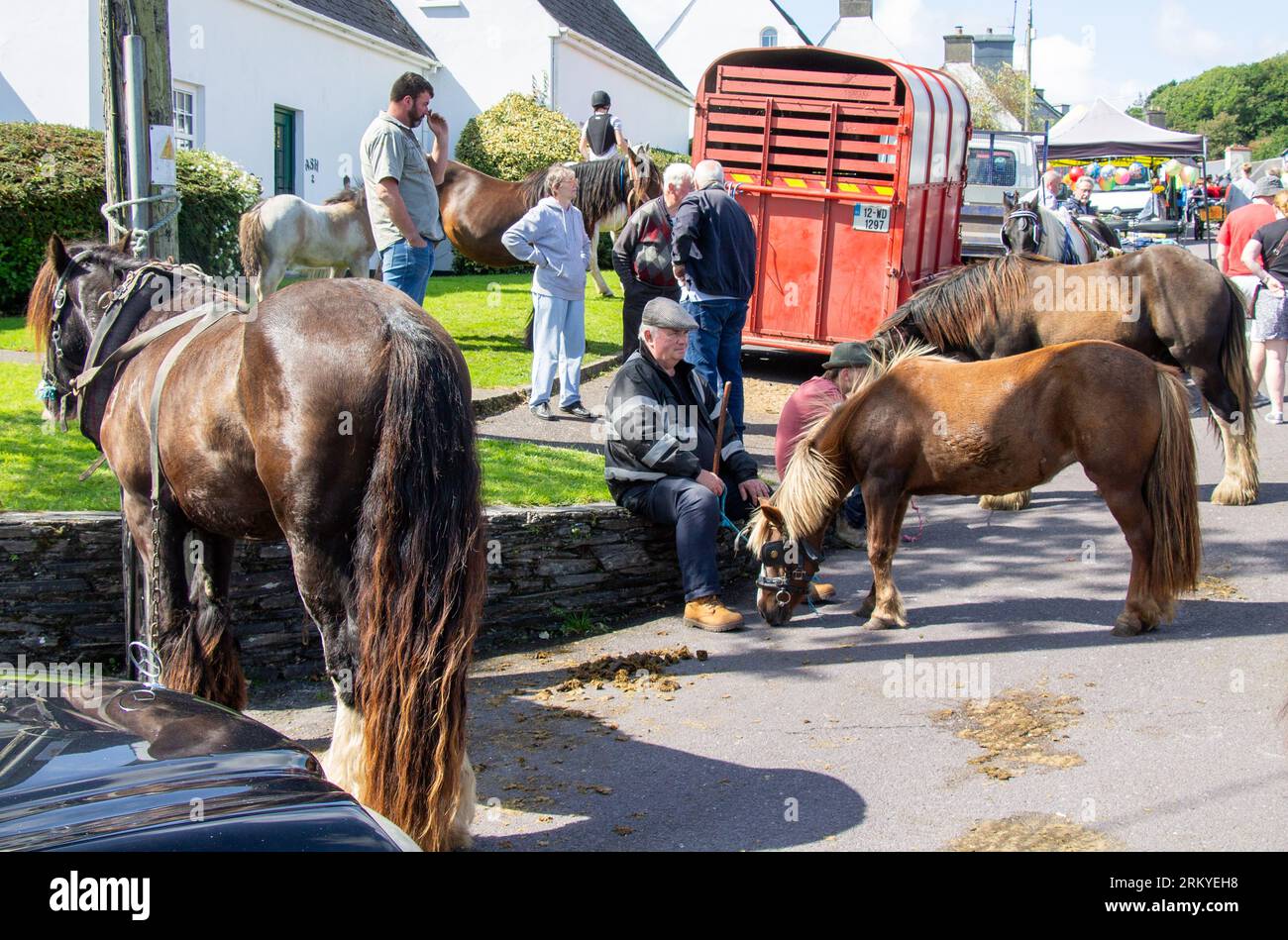 Rosscarbery Horse Fair West Cork Ireland Stock Photo - Alamy