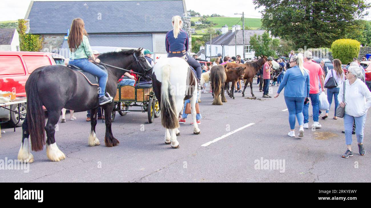 Rosscarbery Horse Fair West Cork Ireland Stock Photo - Alamy
