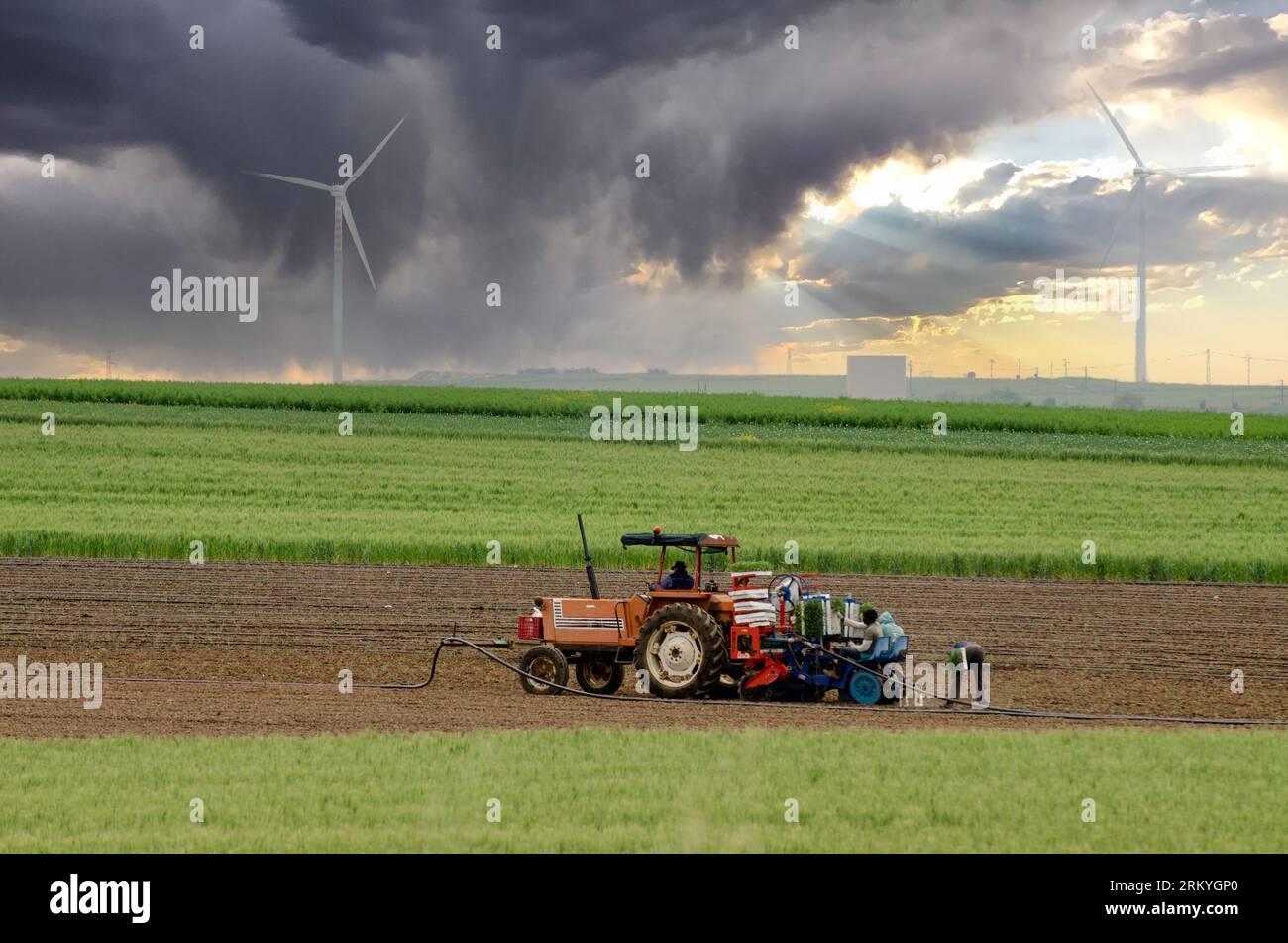Open field system hi-res stock photography and images - Alamy