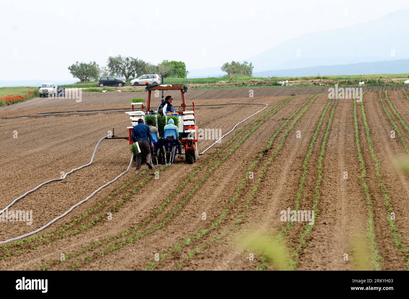 Open field system hi-res stock photography and images - Alamy