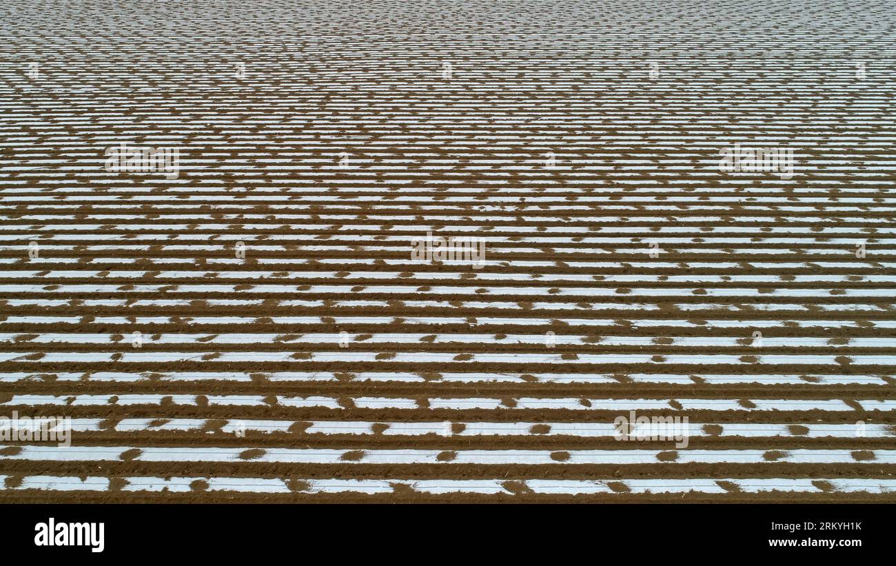 Film covered potato fields, North China, aerial photos Stock Photo - Alamy