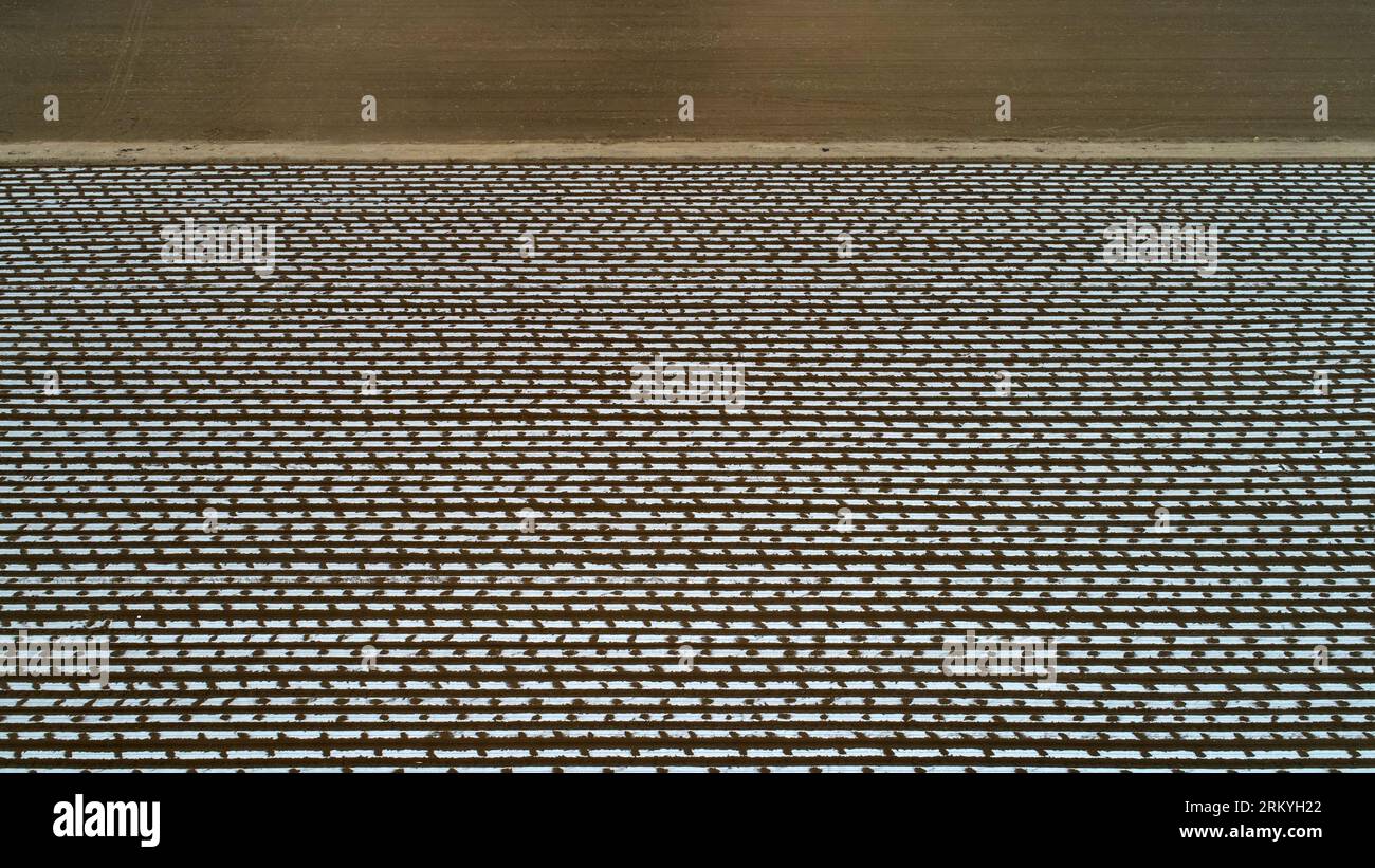 Film covered potato fields, North China, aerial photos Stock Photo - Alamy