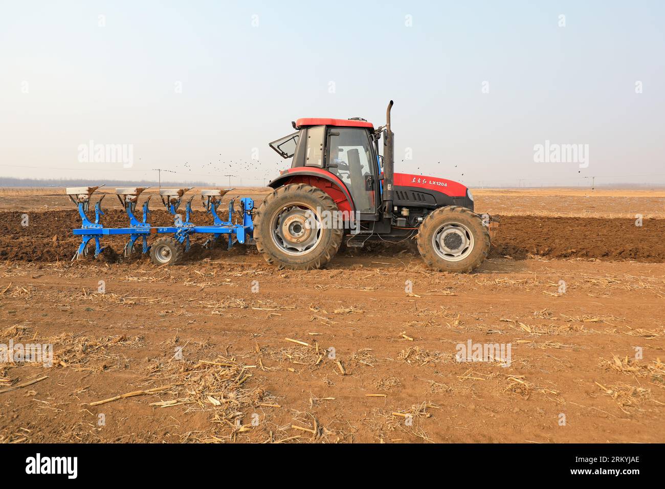 Farmers flatten their land with turning ploughs for spring ploughing ...