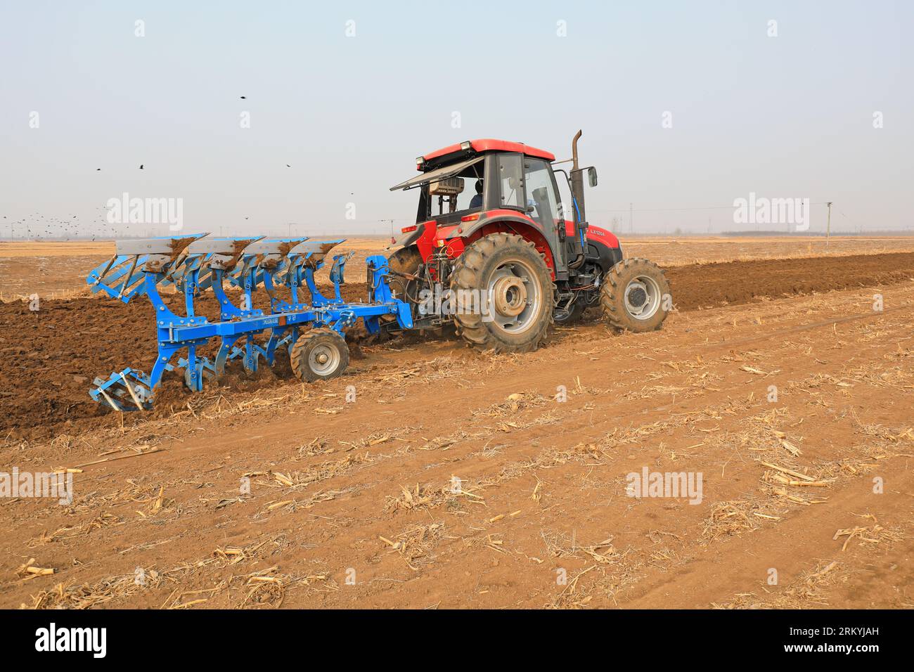 China agriculture plough hi-res stock photography and images - Alamy