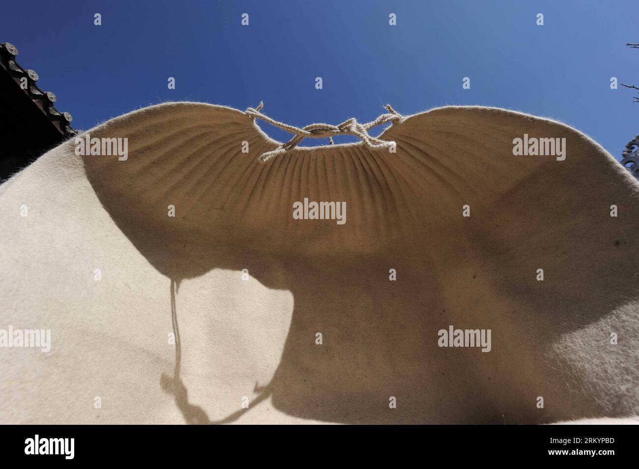 Felt cloak hi-res stock photography and images - Alamy