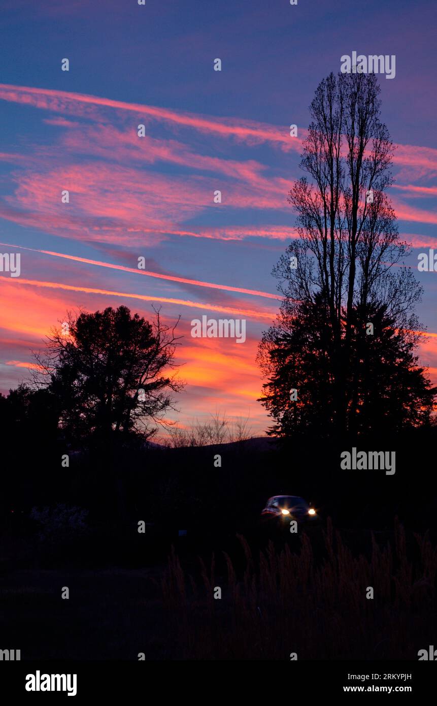 Rosa antico hi-res stock photography and images - Alamy