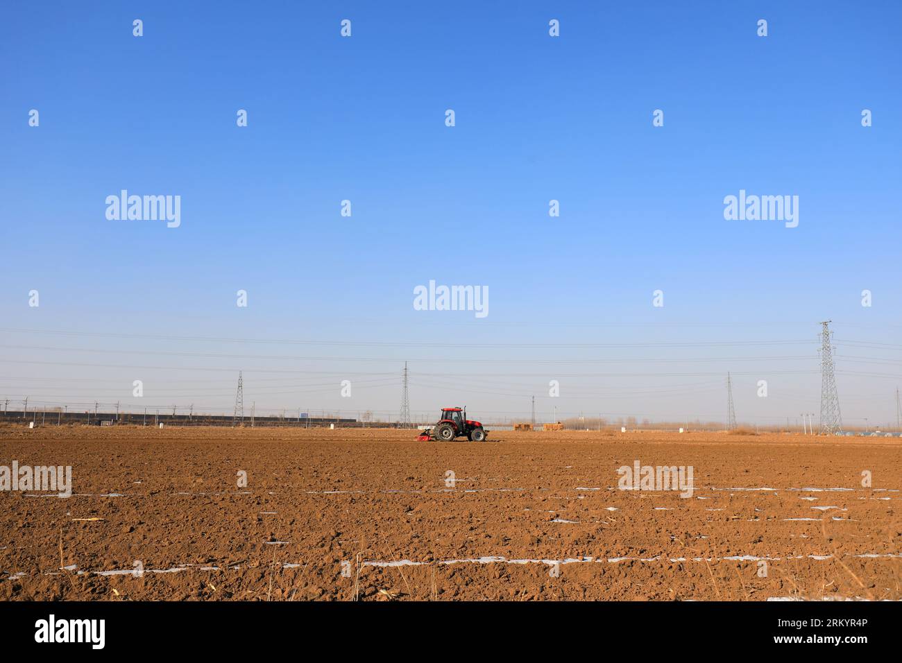 Farmers drive planters to grow potatoes on the farm Stock Photo - Alamy