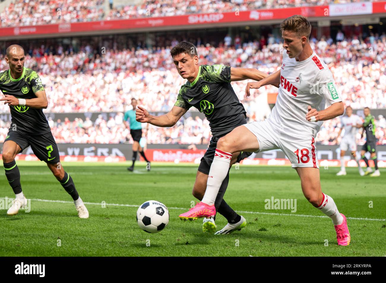 Cologne, Germany. 26th Aug, 2023. Soccer: Bundesliga, 1st FC Cologne ...