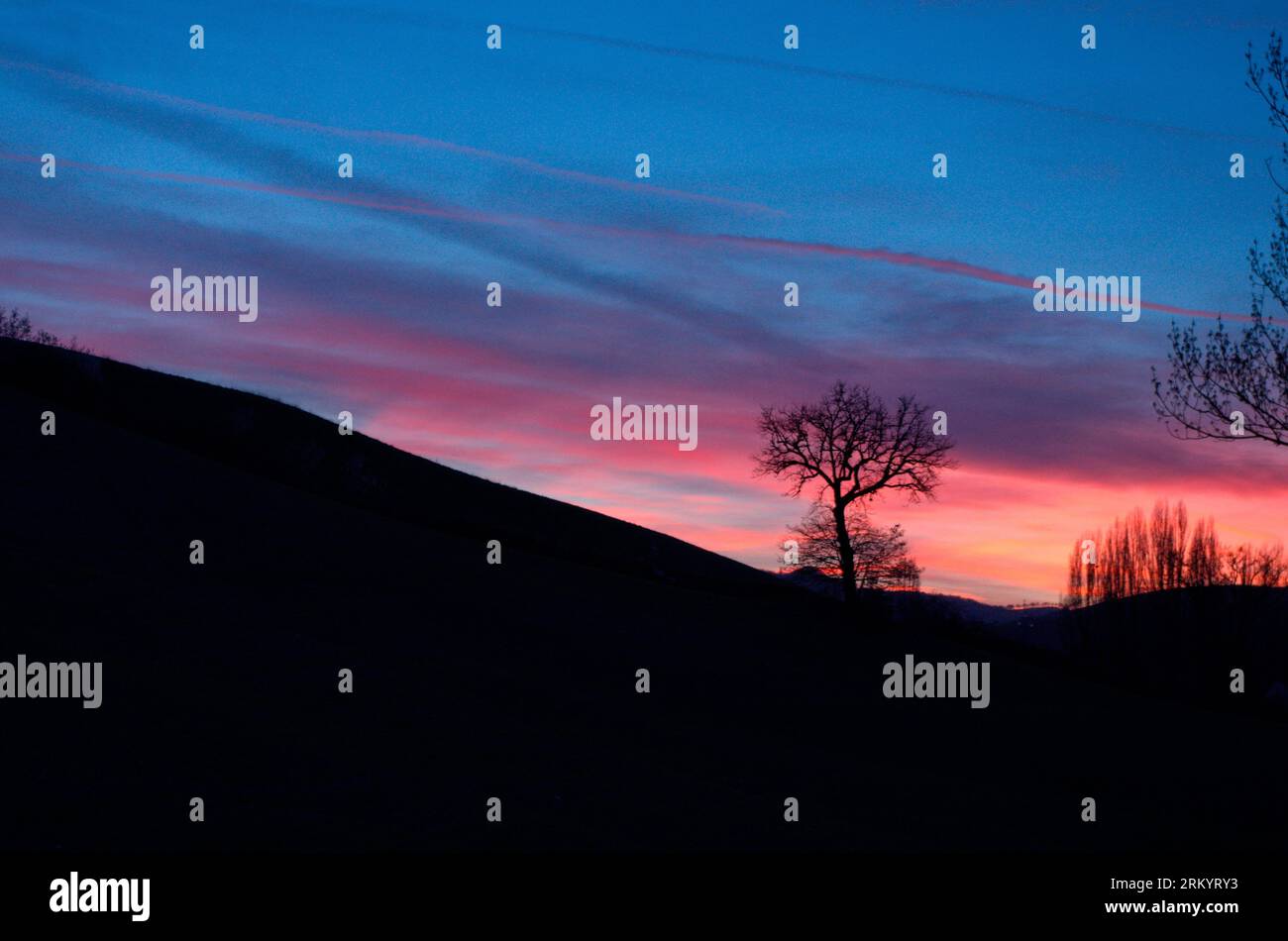 Albero con rami secchi hi-res stock photography and images - Alamy